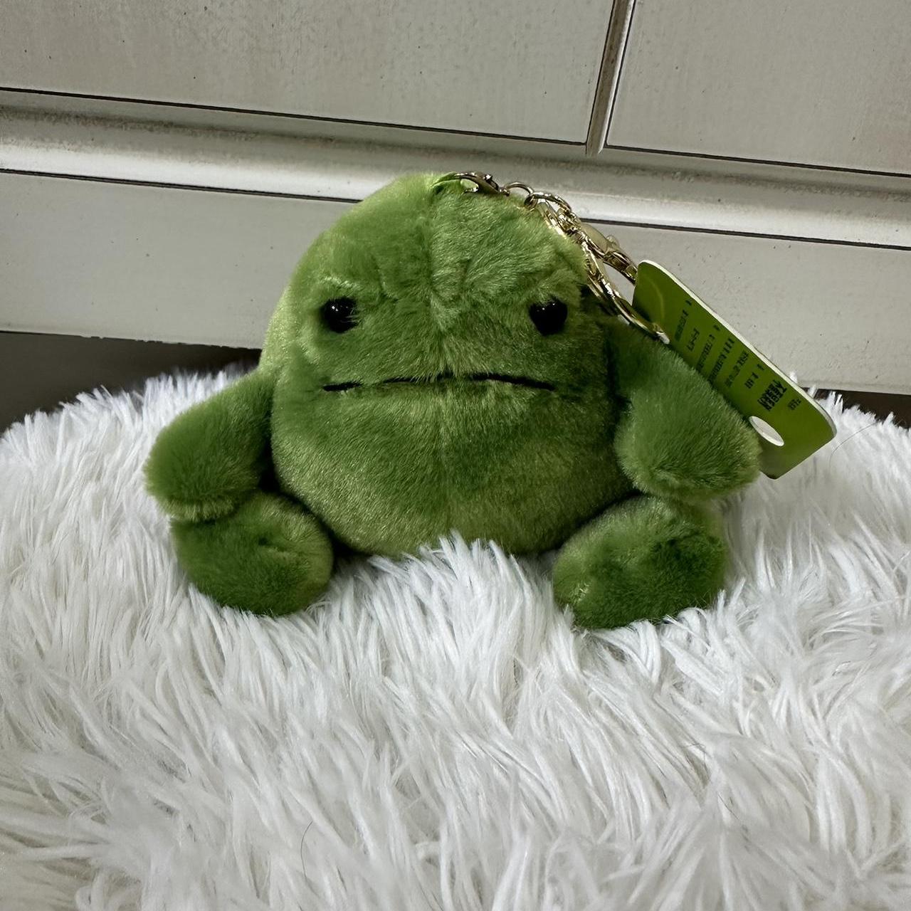 Japanese Funny Anxious Frog Keychain Jelly Cat... - Depop