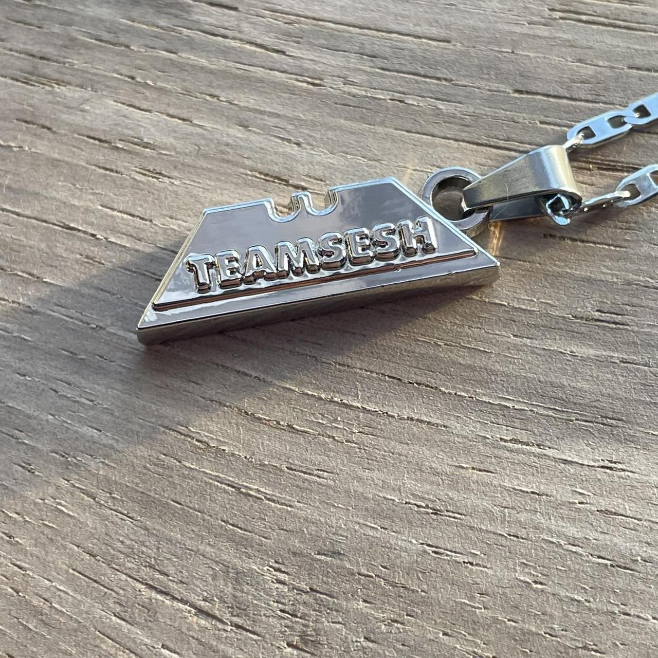 Teamsesh razor chain 10” chain Brand new #bones... | Depop