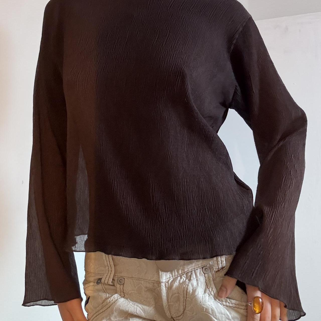 Brown sheer ruffled top with flared arms. There’s a... | Depop